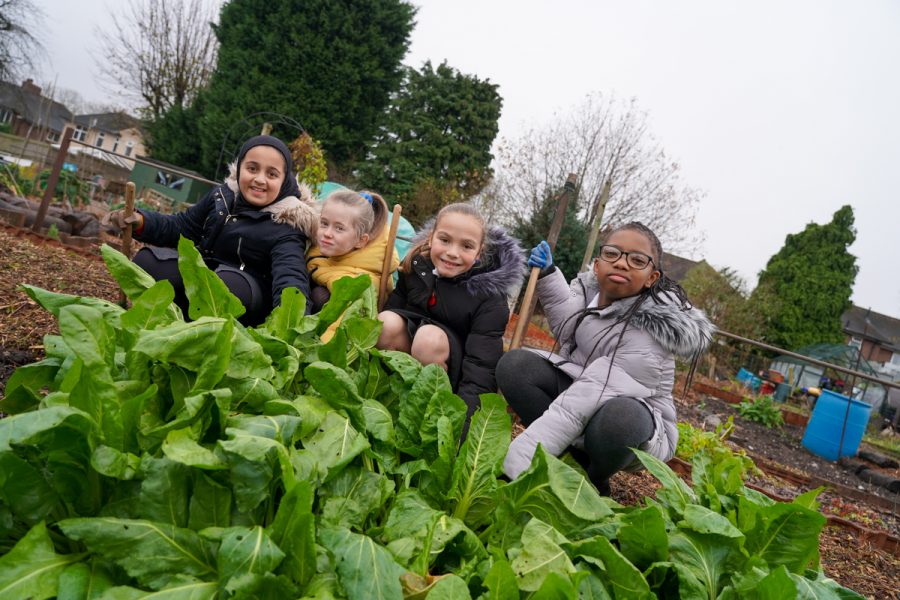 The Oval School – Proud members of drb Ignite MAT